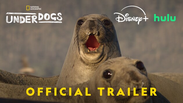 Underdogs | Official Trailer | National Geographic | Disney Video