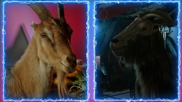 Thor: Amor y Trueno de Marvel Studios | Devin, la cabra | Disney Latino