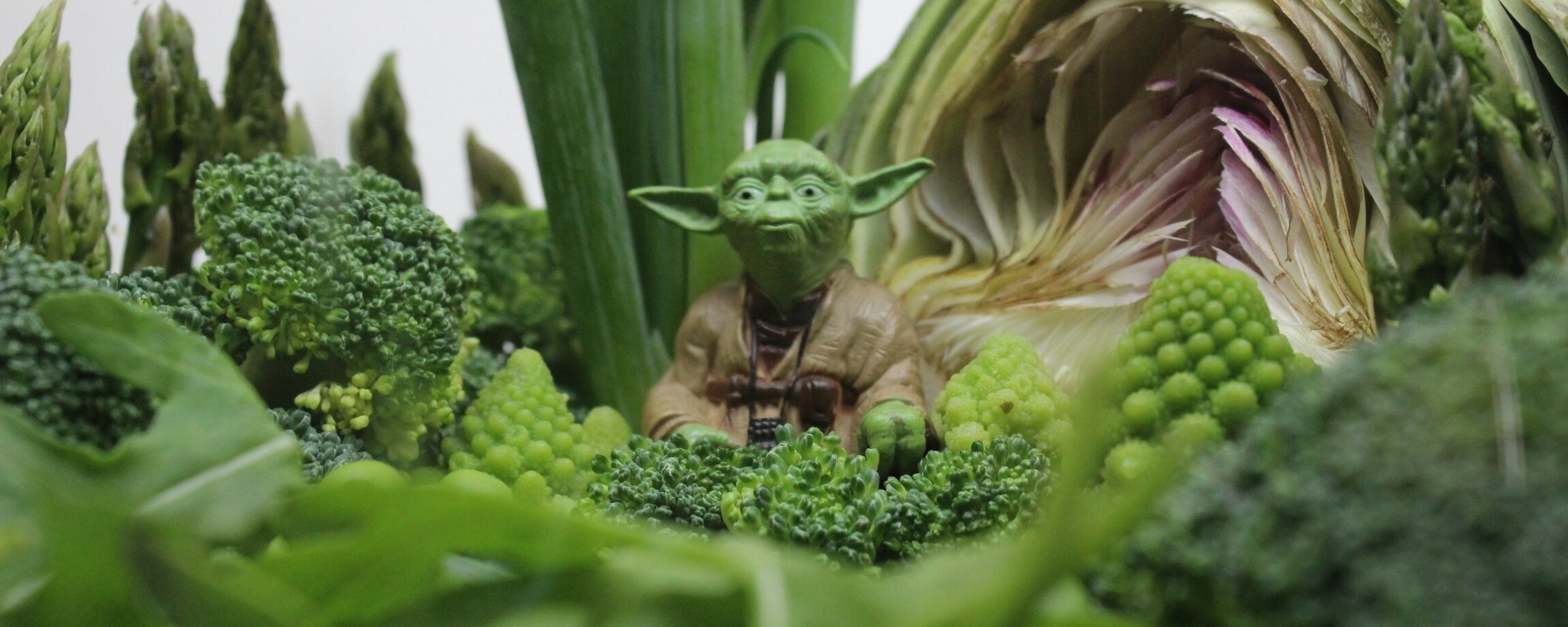 Yoda Vegetable Terrarium | StarWars.com
