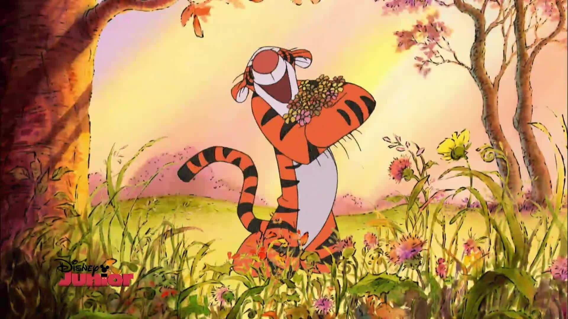 Winnie Puuh: Kanga und Ruh ziehen ein | Disney Video