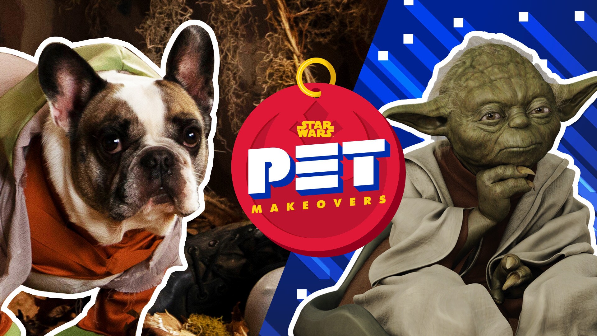 Yoda French Bulldog