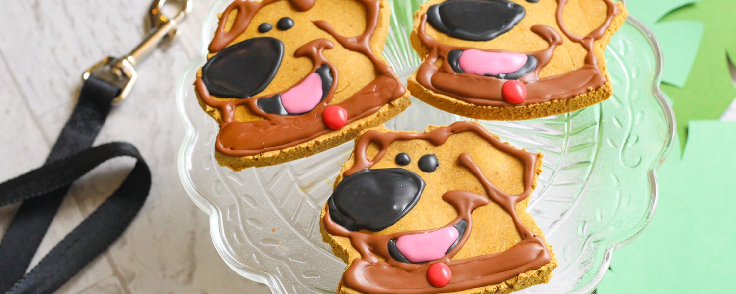 For Your Favorite Pup: Dog Treats Inspired by Dug | Disney News