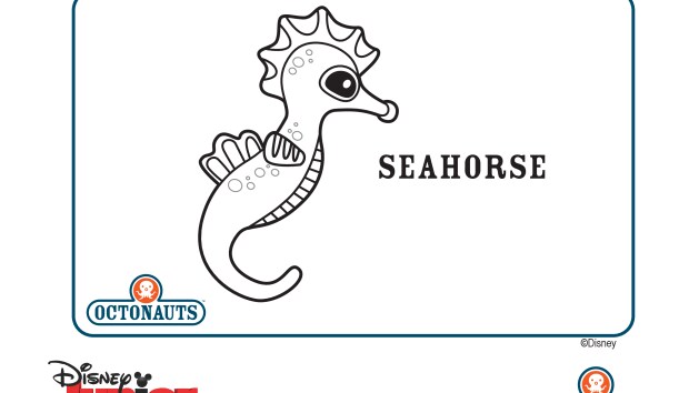 Octonauts Seahorse