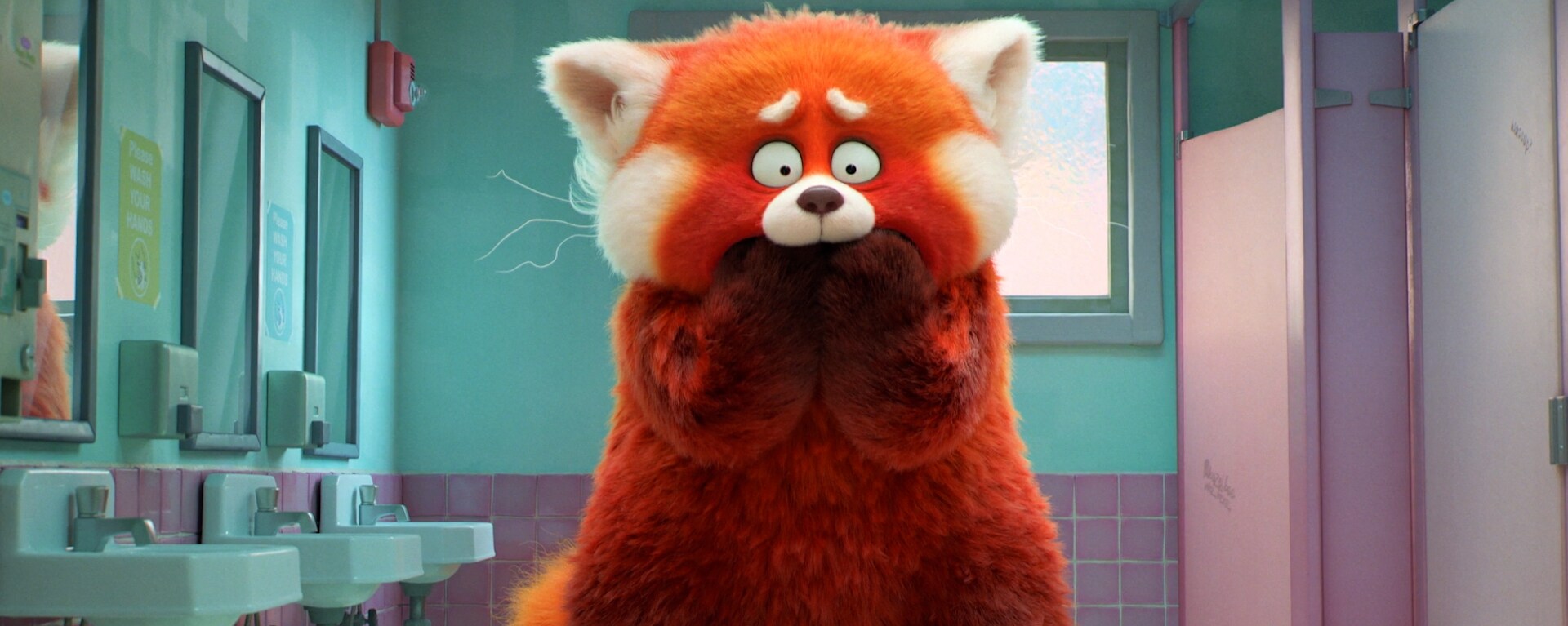Panda Rojo Emocionado