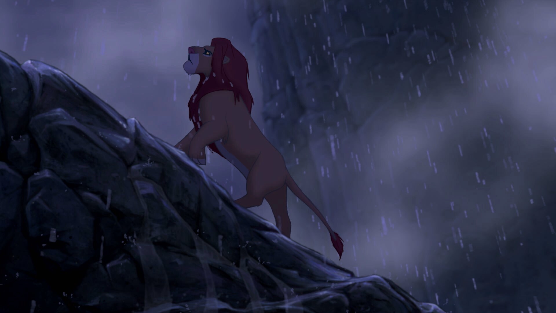 Simba Roaring On Pride Rock