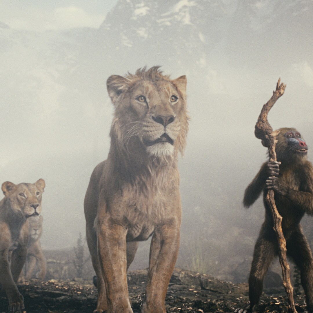 MUFASA: THE LION KING TRIUMPHED THIS CHRISTMAS, CLAIMING THE GLOBAL NO ...