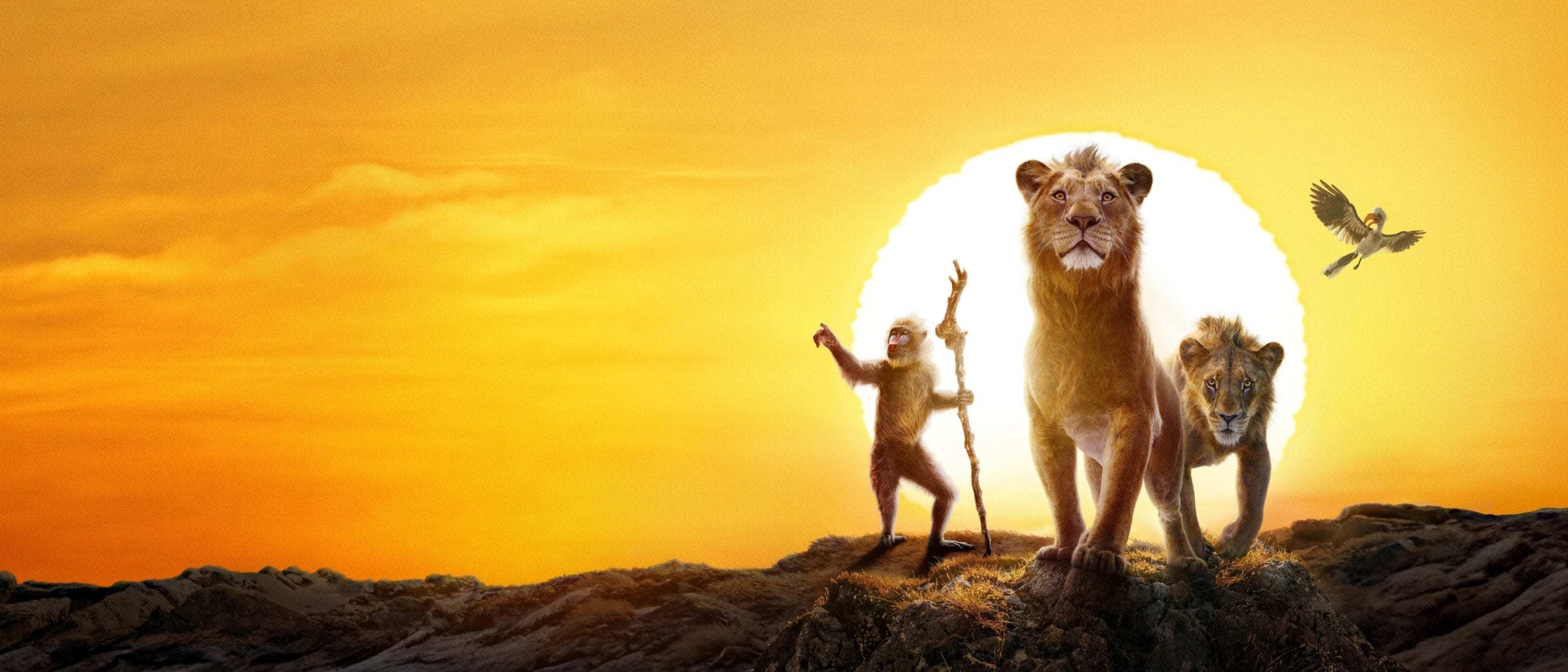 Disney România | Disney oficial