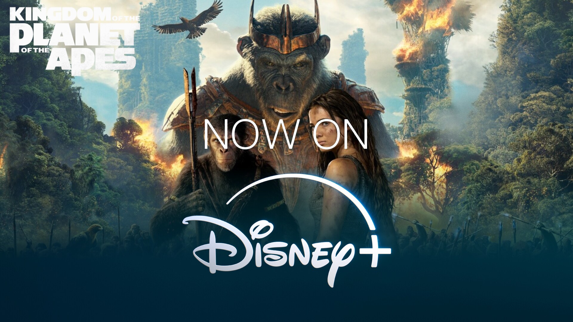 Disney Online - Disney Archives