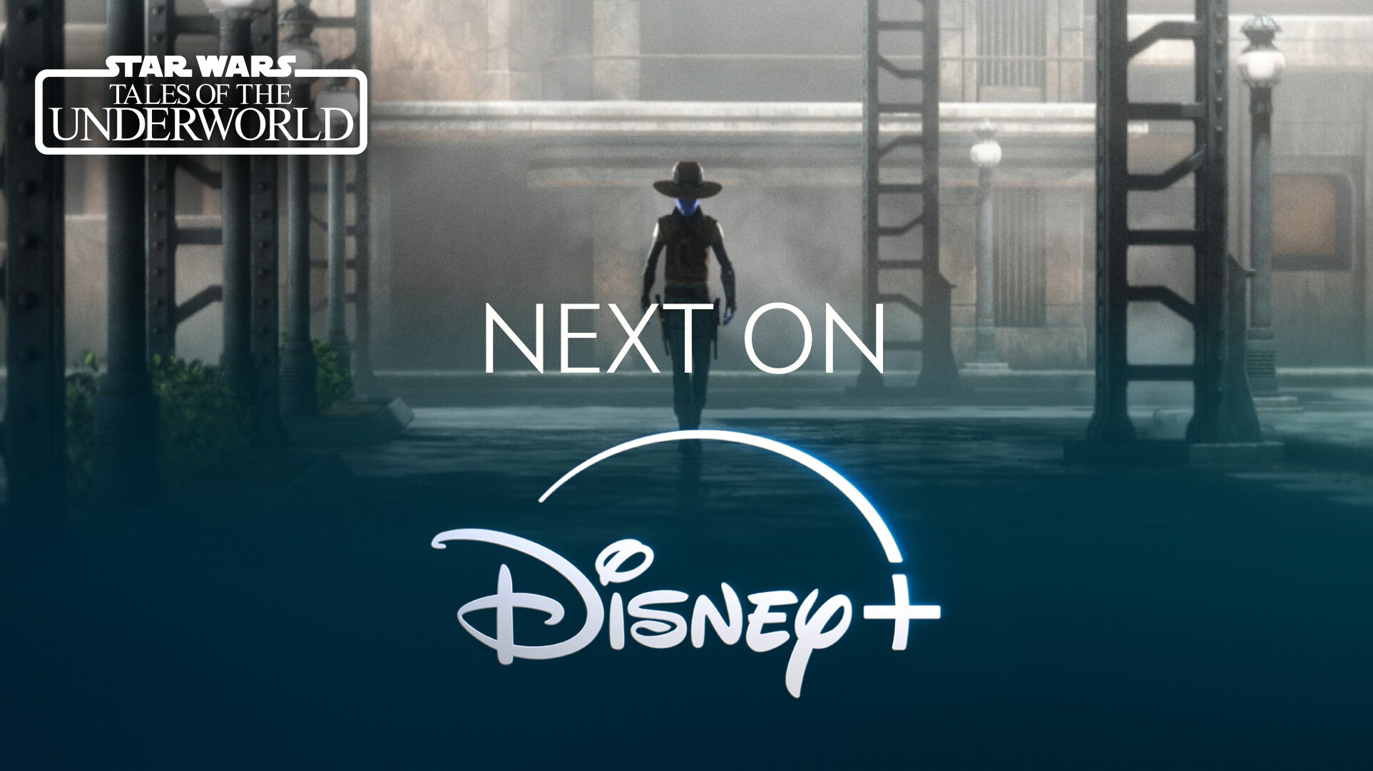 Disney Channel Stjerner Har Vokst Opp