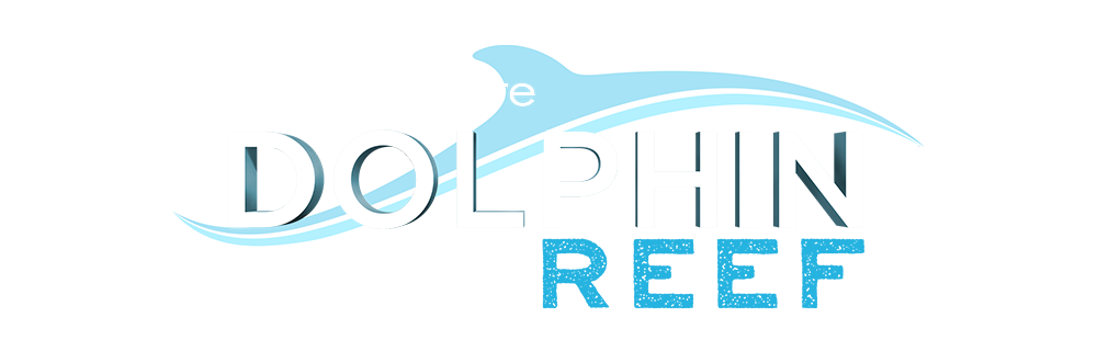 Disney.com | The official home for all things Disney