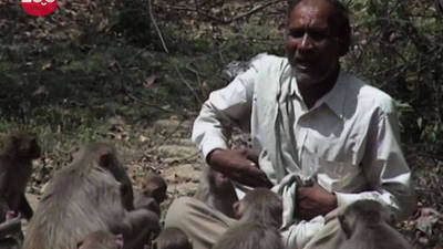 Monkey Man | Disney Video