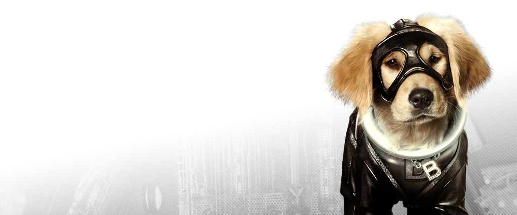 Spooky Buddies B Dawg