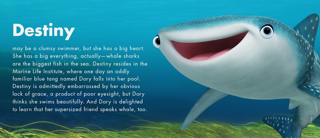Finding Dory | Disney Movies