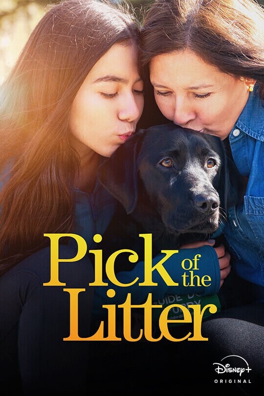 Pick of the Litter On Disney