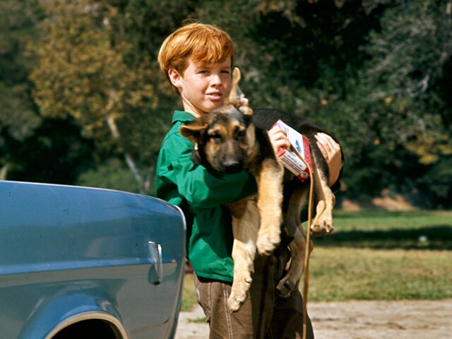 Kelly Movie