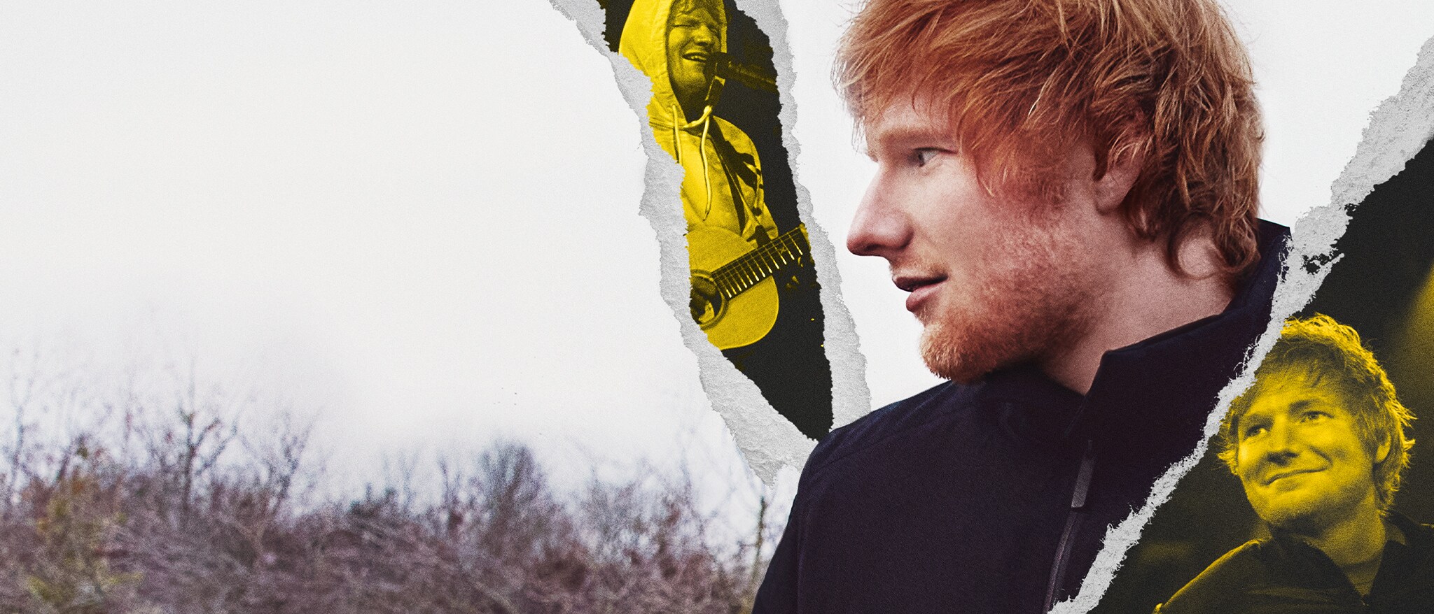 Plus Ed Sheeran