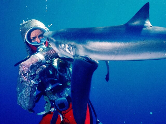 Epic High Five Shark