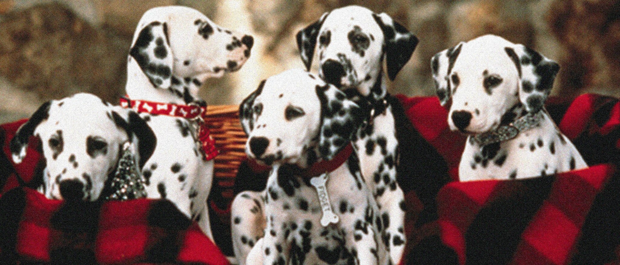 101 Dalmatians Fidget