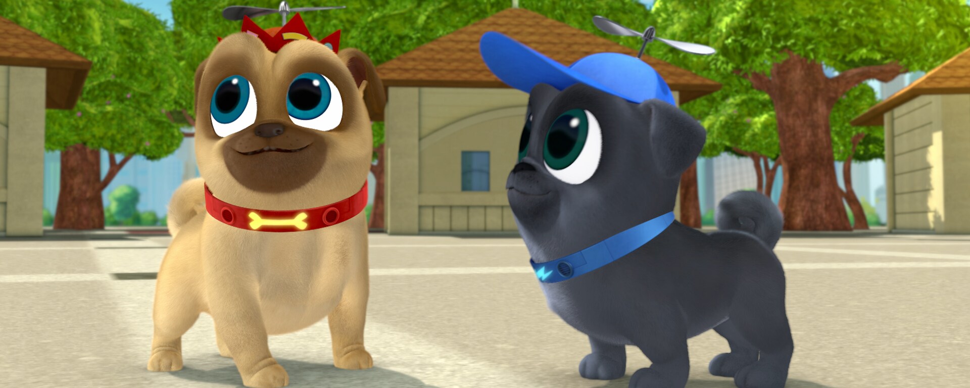 Vacaciones: 'C.H.U.E.C.O'., 'Puppy Dog Pals' y otras series y películas ...
