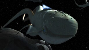 Poll: What is Your Favorite Star Wars Rebels Creature? | StarWars.com