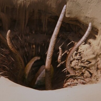 Star Wars: o que é um Sarlacc? | Disney Brasil
