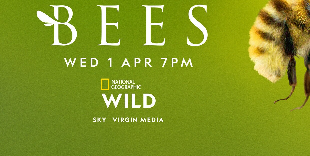 NATIONAL GEOGRAPHIC RELEASES UN-BEE-LIEVEABLE TRAILER FOR SECRETS OF ...