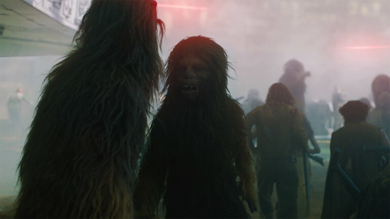 Sagwa | StarWars.com