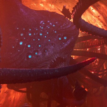 Quiz: Can You Guess the Star Wars Monster? | StarWars.com