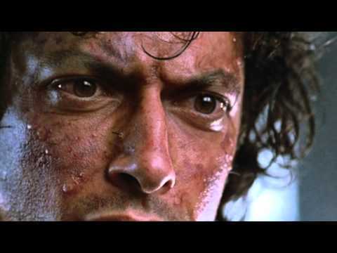 The Fly | 20th Century Studios