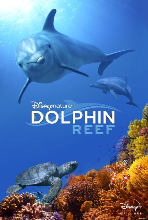 Disney UK | The Official Home For All Things Disney