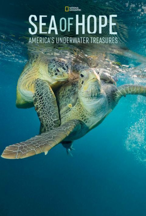 Disney UK | The Official Home For All Things Disney