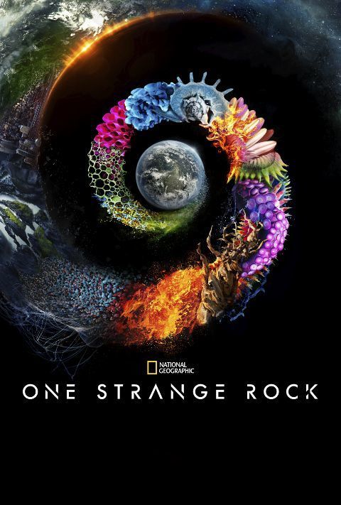 Disney UK | The Official Home For All Things Disney