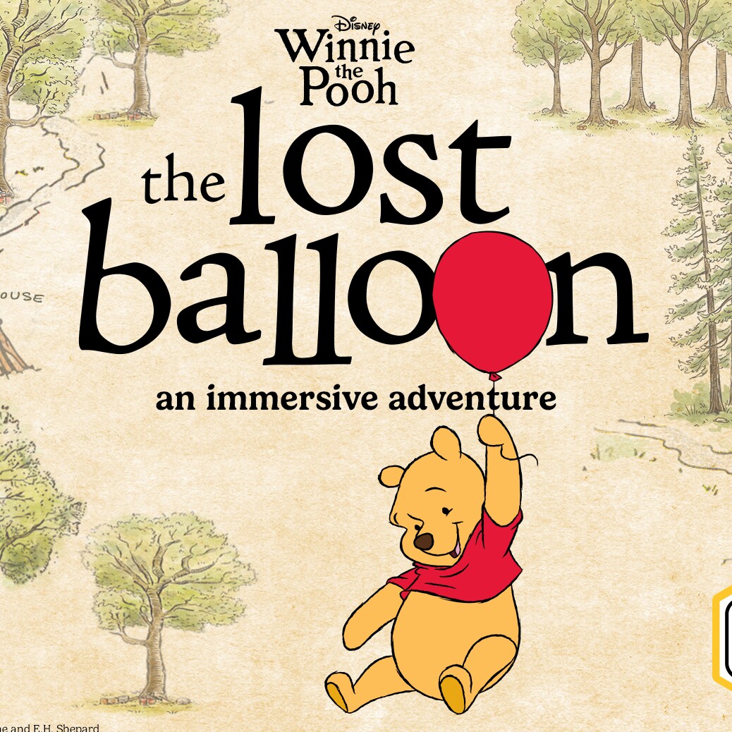 STEP INTO THE HUNDRED ACRE WOOD: NEW DISNEY WINNIE THE POOH: THE LOST ...